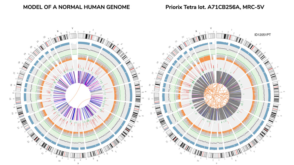 MEDICAL HORROR: Genetic sequencing of common vaccine finds entire male ...