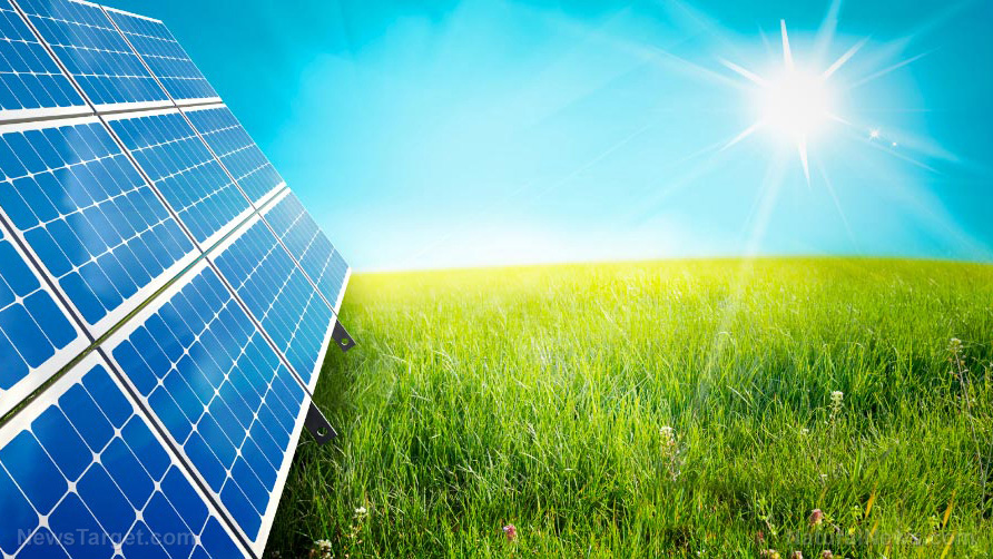 Battery-free breakthrough in artificial photosynthesis promises cheaper ...